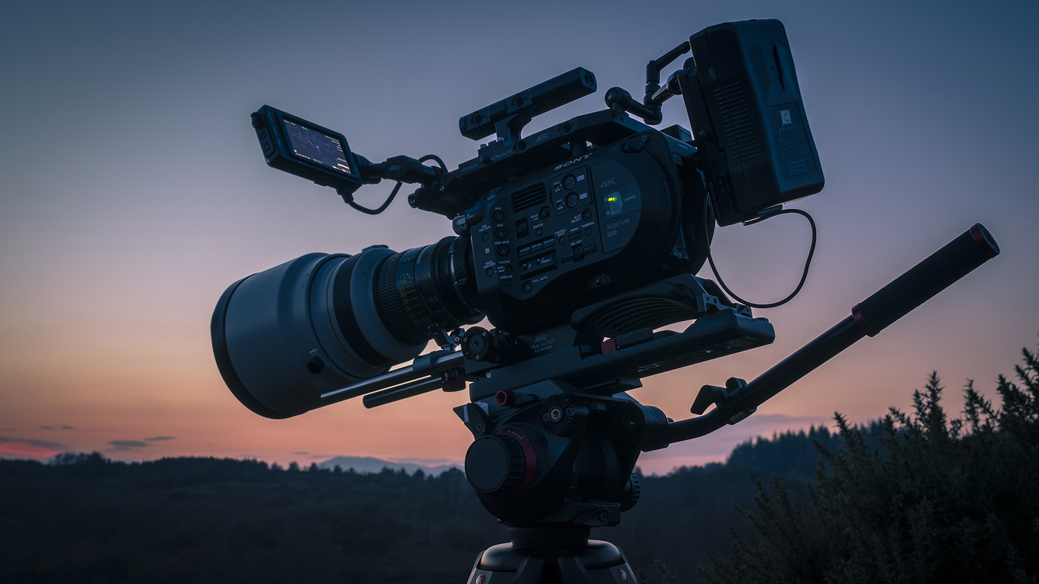 Making a natural history documentary – ways to find inspiration – Wild ...